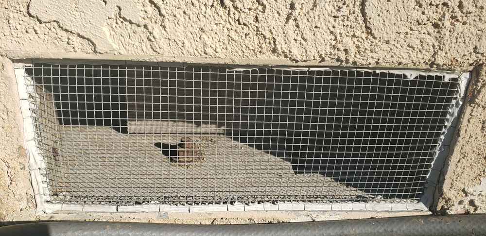 THUMBS UP PEST & TERMITE CONTROL - Updated January 2026 - 20 Photos ...