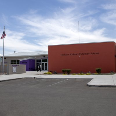 HUMANE SOCIETY OF SOUTHERN ARIZONA - 49 Photos & 76 Reviews - 635 W ...