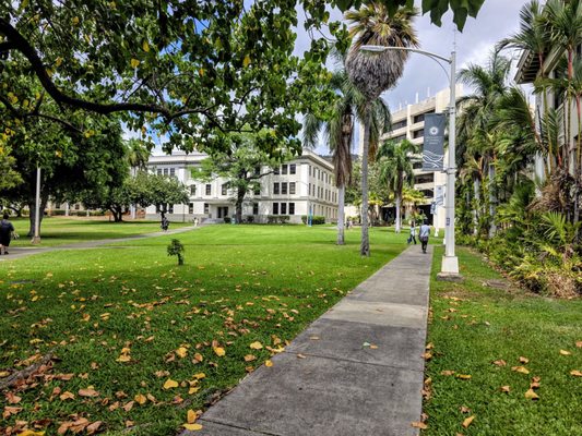 UNIVERSITY OF HAWAII AT MĀNOA - Updated April 2026 - 462 Photos & 132 ...