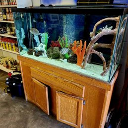 STAR FISH CO SEAFOOD MARKET AND RESTAURANT - Updated January 2026 ...