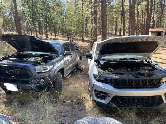 FOX RENT A CAR - Updated December 2025 - 205 Photos & 1231 Reviews ...