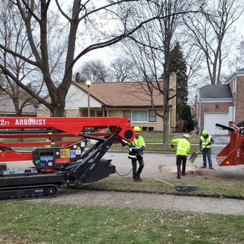 BROWN TREE SERVICE - Updated December 2025 - 50 Photos & 44 Reviews ...