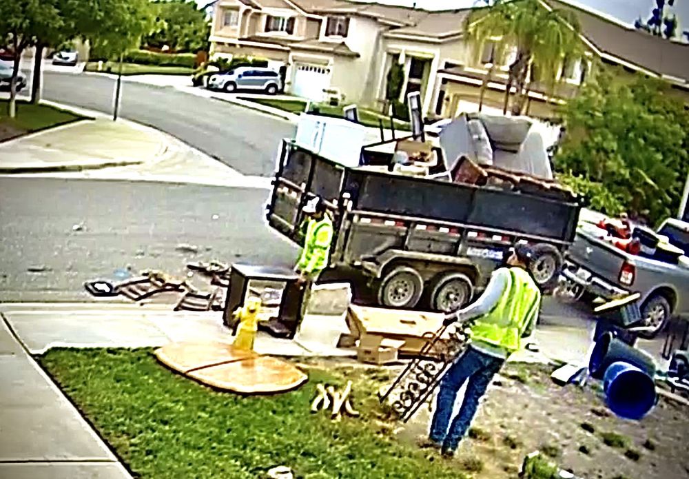 LIFE TREE SERVICE - Updated October 2025 - 33 Photos & 17 Reviews ...