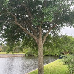 WILSON FAMILY TREE CARE - 34 Photos - 887 Cooks Ln, Green Cove Springs ...