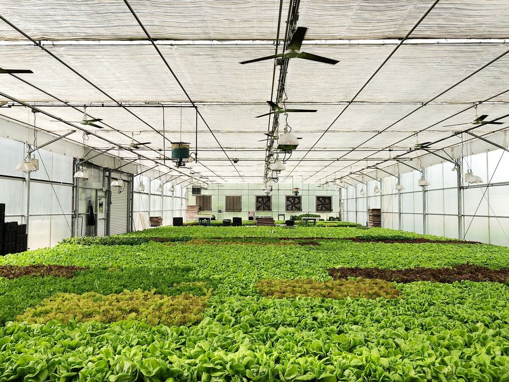 WACO FARMS - Updated September 2025 - 4419 S 12th St Rd, Waco, Texas ...