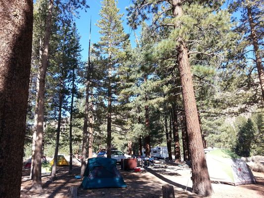 ROBINSON CREEK CAMPGROUND - 23 Photos - Campgrounds - Bridgeport, CA - Yelp