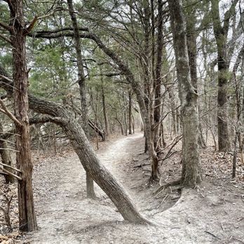ERWIN PARK - Updated January 2026 - 91 Photos & 16 Reviews - 4300 ...