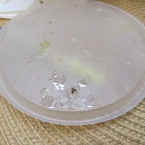 CHINA WOK FAST FOOD - Updated December 2024 - 35 Photos & 77 Reviews ...