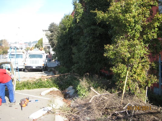 ALLIANCE DEMOLITION - Updated December 2024 - 34 Photos & 46 Reviews ...