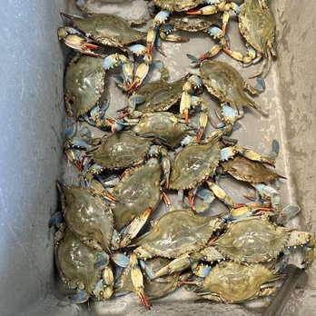 MISSION SEAFOOD MARKET - Updated November 2025 - 85 Photos & 164 ...