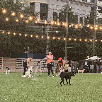 FETCH PARK - Updated August 2025 - 80 Photos & 19 Reviews - 309 ...