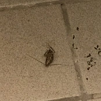 SPACE COAST INN - Updated December 2025 - 10 Photos & 13 Reviews - 820 ...