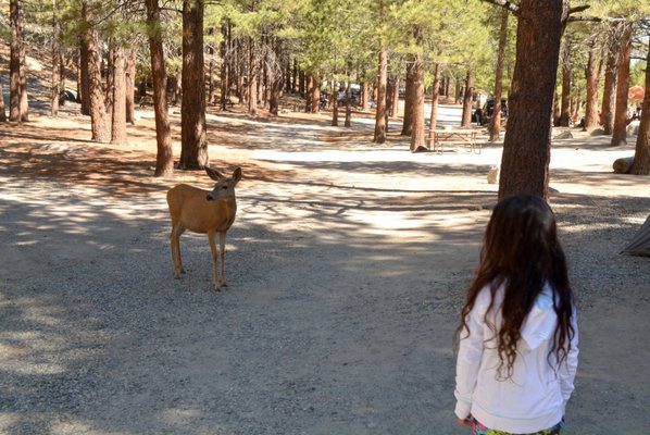 PINE CLIFF RV RESORT & GENERAL - Updated June 2024 - 95 Photos & 124 ...