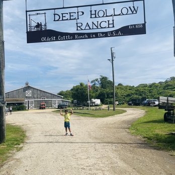 DEEP HOLLOW RANCH BEACH & TRAIL RIDES - Updated December 2025 - 85 ...