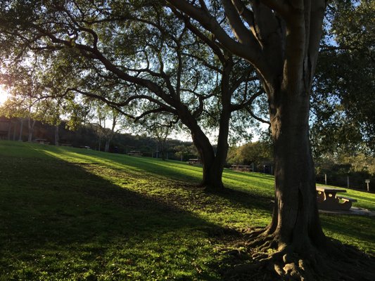 OAK CREST PARK - Updated October 2025 - 30 Photos - 1219 Encinitas Blvd ...