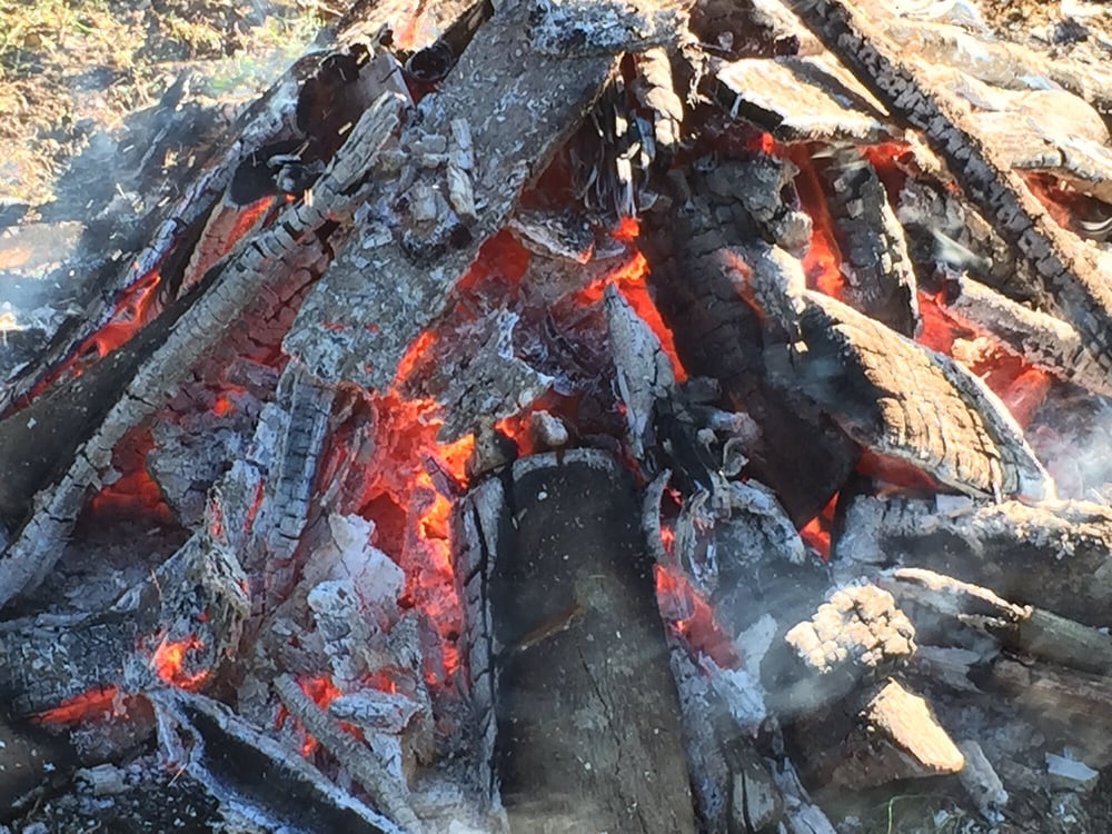 TERME GÖLYAZI ÇOBAN YATAĞI - Terme, Samsun, Turkey - Parks - Yelp