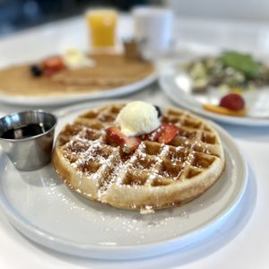 SUMO DOG - Updated January 2025 - 110 Photos & 99 Reviews - 49-830 ...