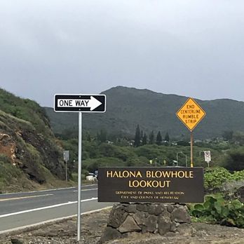 COCKROACH COVE - Updated October 2025 - 93 Photos & 26 Reviews - 8450 ...