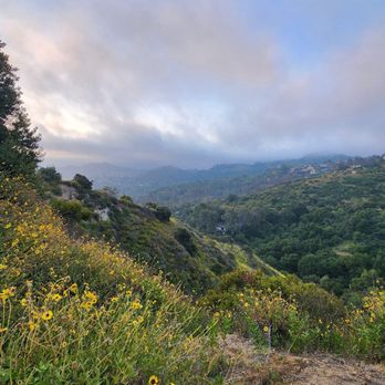 WILACRE PARK - Updated December 2025 - 446 Photos & 177 Reviews - 3431 ...