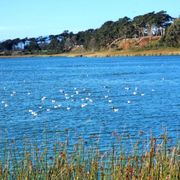 LAKE MERCED - 615 Photos & 267 Reviews - Parks - 1 Harding Rd, San ...