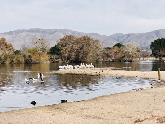 HESPERIA LAKE PARK & CAMPGROUND - 131 Photos & 56 Reviews - Parks ...