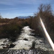 TRES RIOS WETLANDS - 26 Photos - Phoenix, Arizona - Parks - Yelp