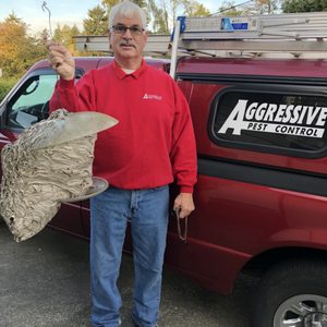 PURCOR PEST SOLUTIONS - Updated October 2025 - 35 Photos & 449 Reviews ...