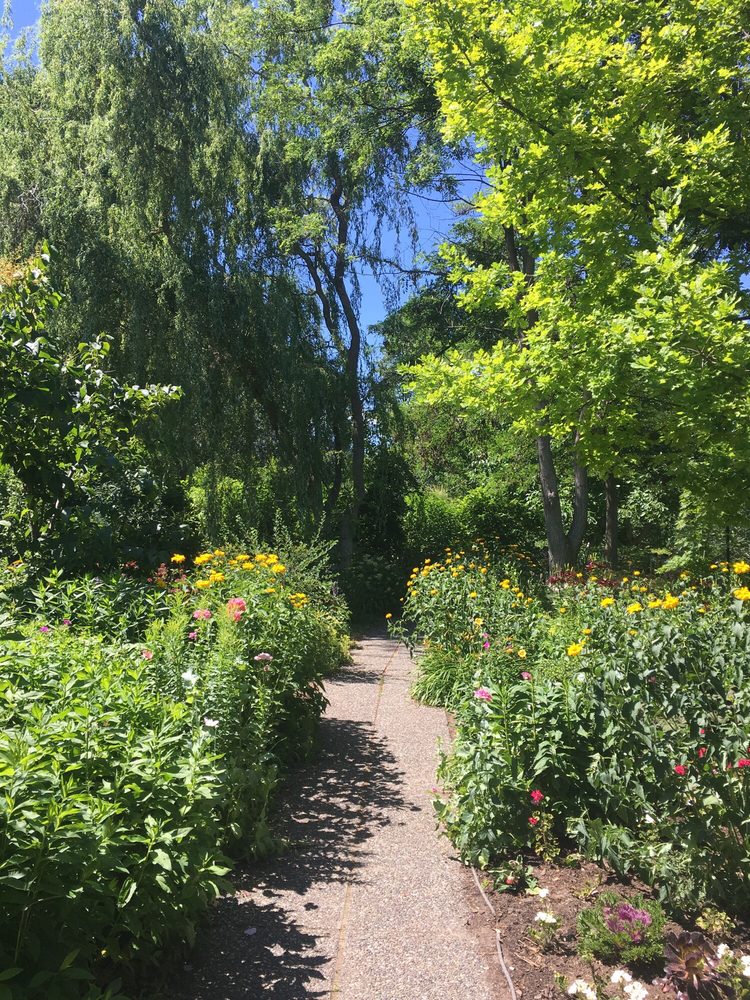 LINDEN GARDENS & FROG CITY CAFE - Cafes - 351 Linden Avenue, Kaleden ...