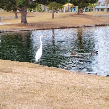 FREESTONE PARK - Updated April 2025 - 213 Photos & 115 Reviews - 1045 E ...