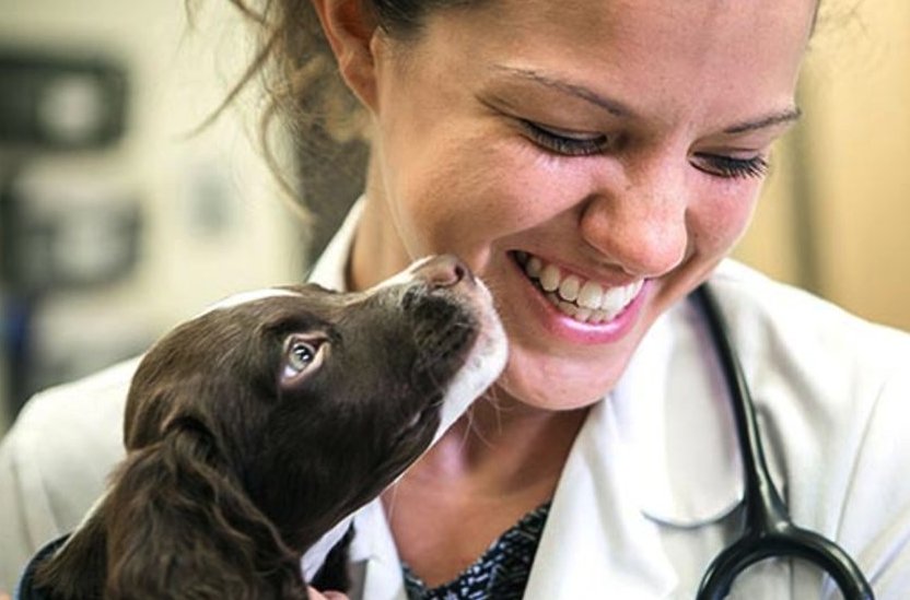 CANYON VIEW CARES VETERINARY HOSPITAL - Updated May 2026 - 12 Photos ...