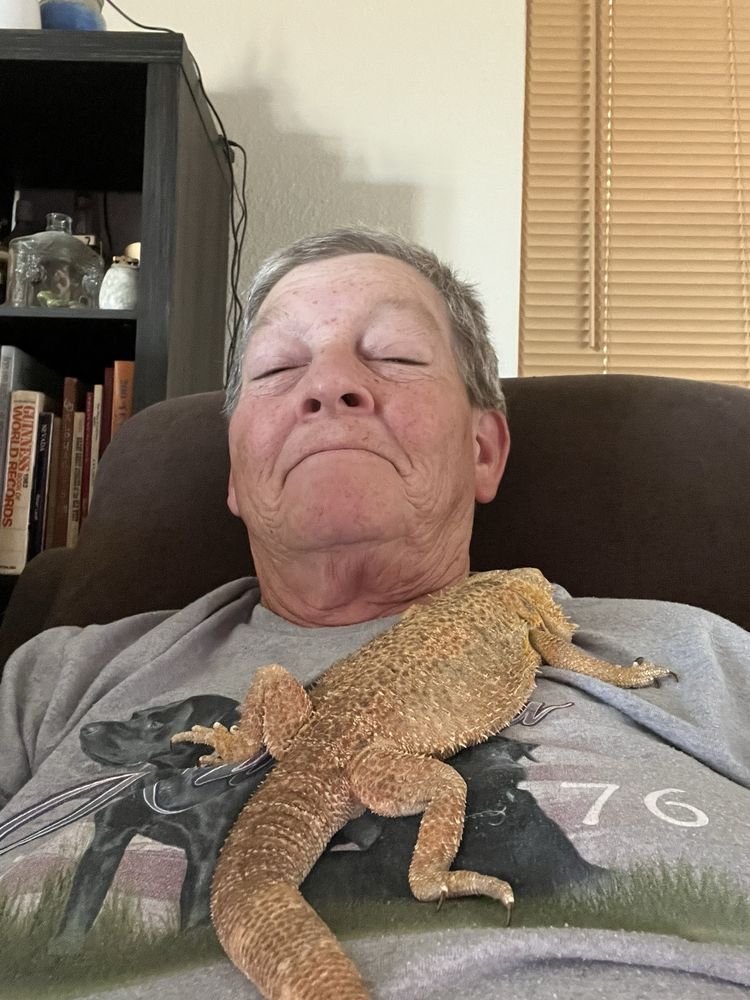 Vinnie’s Electric - Updated October 2025 - 16 Salvadore Dr, Fernley ...