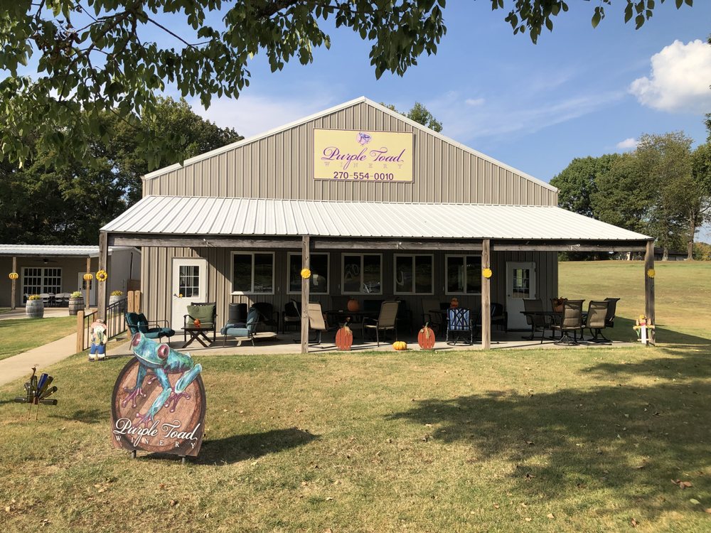 PURPLE TOAD WINERY & DISTILLERY - Updated May 2026 - 89 Photos & 68 ...