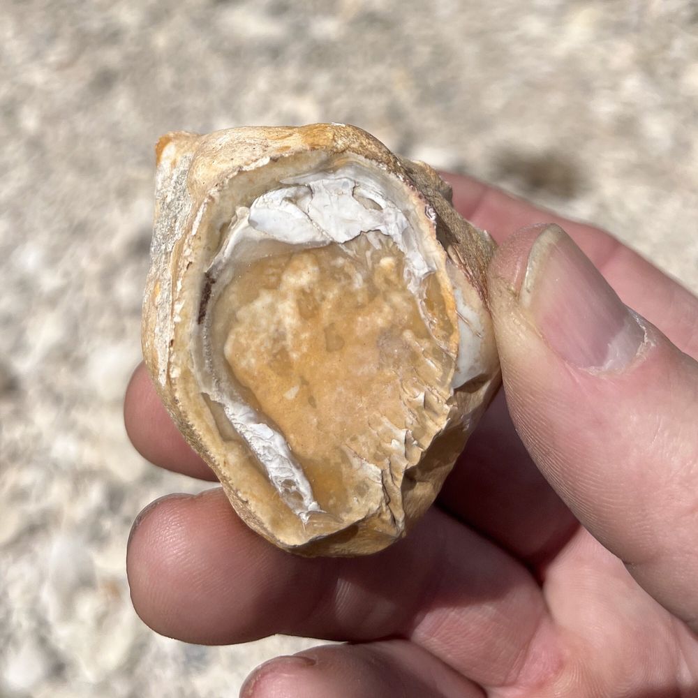 KICKAPOO CAVERN STATE PARK - Updated December 2025 - 30 Photos & 12 ...