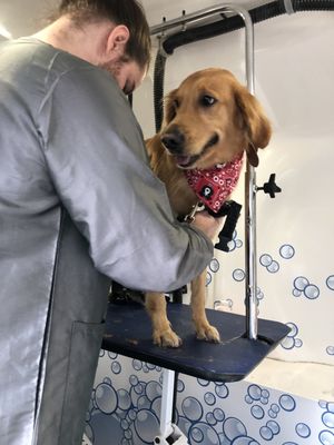 HYDRODOG BERT - Updated January 2026 - 34 Photos & 22 Reviews - Redmond ...