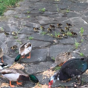 PRATHER PARK Highland Park, TX - Updated November 2024 - Parks - Phone ...