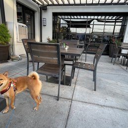 THE ‘401 - Updated December 2025 - 908 Photos & 561 Reviews - 6700 ...