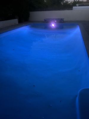 PREMIER POOL PLASTERING - Updated June 2024 - 127 Photos & 73 Reviews ...