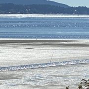 CHUCKANUT MANOR SEAFOOD & GRILL - 431 Photos & 277 Reviews - 3056 ...