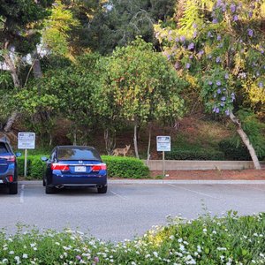 CAL POLY POMONA UNIVERSITY LIBRARY - Updated February 2025 - 21 Photos ...