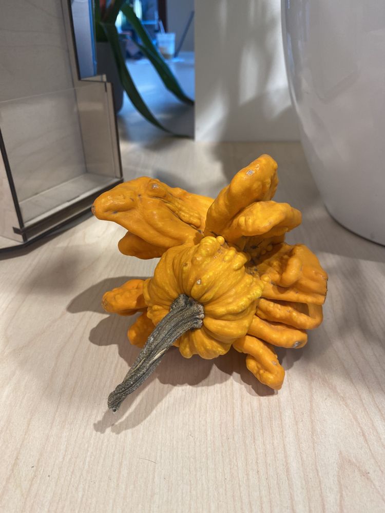 ANDYTOWN COFFEE ROASTERS - 109 Photos & 60 Reviews - 1302 El Camino ...