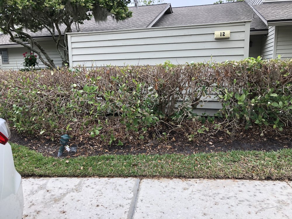 FIRST COAST ASSOCIATION MANAGEMENT - Updated December 2025 - 25 Reviews ...