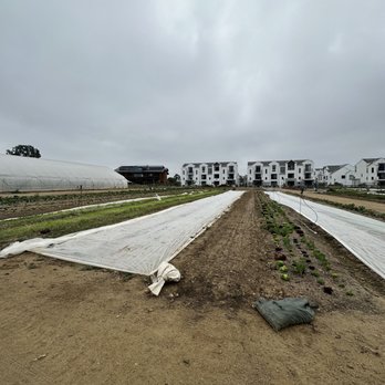 FOX POINT FARMS - Updated May 2025 - 324 Photos & 116 Reviews - 1150 ...