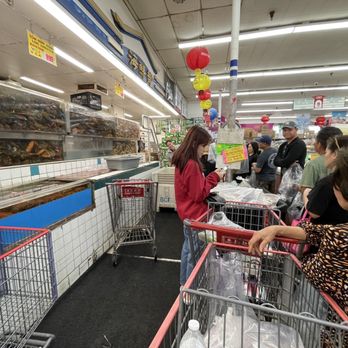 ABC SUPERMARKET - Updated April 2025 - 355 Photos & 203 Reviews - 8970 ...