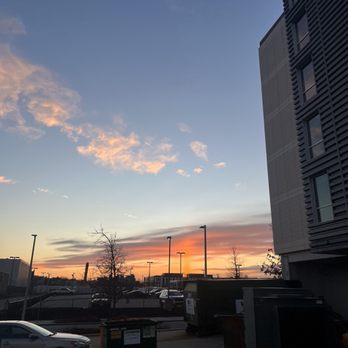 ELEMENT BOSTON SEAPORT DISTRICT - Updated October 2025 - 155 Photos ...