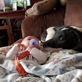 LARIMER HUMANE SOCIETY - Updated May 2025 - 28 Photos & 63 Reviews ...