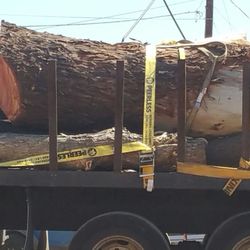 HAYWARD TREE SERVICE - 103 Photos & 115 Reviews - Phoenix, Arizona ...