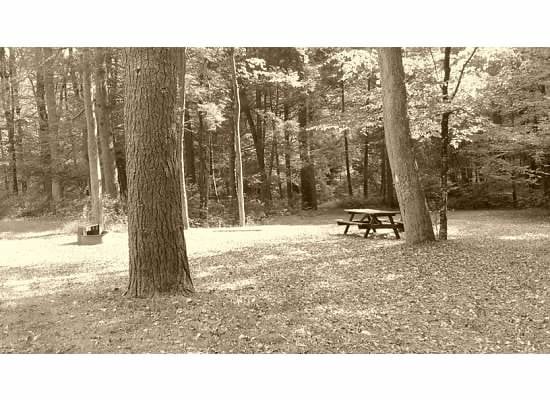 HYNER RUN STATE PARK - Updated September 2025 - 29 Photos - 86 Hyner ...