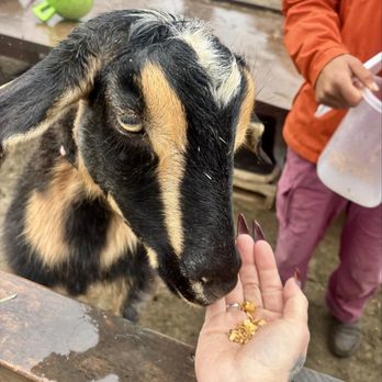 FOX POINT FARMS - Updated April 2025 - 300 Photos & 110 Reviews - 1150 ...