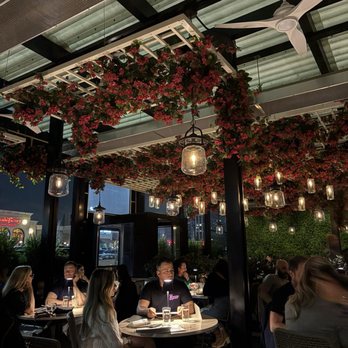 VIOLI - Updated January 2025 - 694 Photos & 263 Reviews - 260 Oakbrook ...