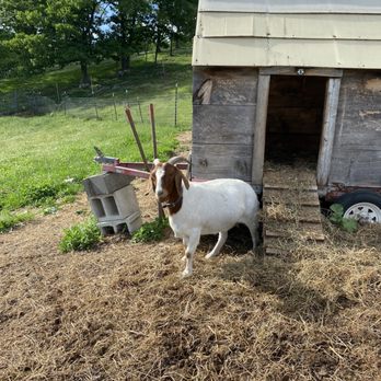 WHIPPLE HILL - Updated July 2025 - 17 Photos - 1625 Massachusetts Ave ...